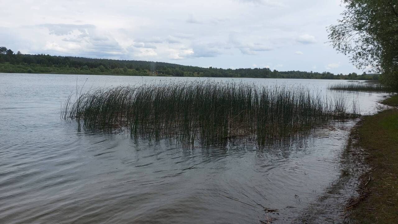 Опрос Gorod.lv: каждый второй не купается летом вовсе